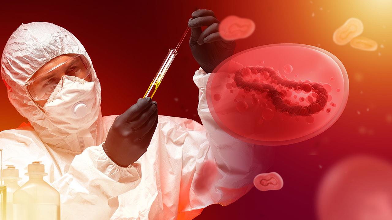 Ο ιός variola και ο ιός της ευλογιάς των αγελάδων συνθέτουν την ευλογιά ...